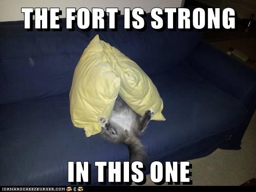 THE FORT IS STRONG IN THIS ONE - Lolcats - lol | cat memes | funny cats ...