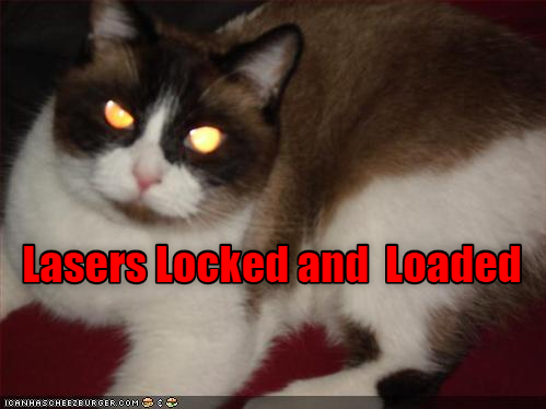 Approach with caution - Lolcats - lol | cat memes | funny cats | funny ...