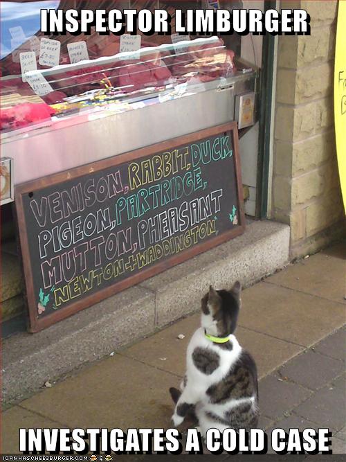 A COLD CASE - Lolcats - lol | cat memes | funny cats | funny cat ...