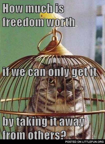 How much is freedom worth - Lolcats - lol | cat memes | funny cats ...