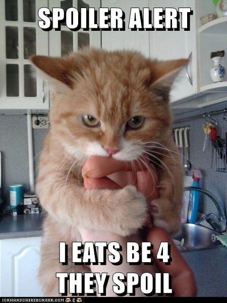 SPOILER ALERT - Lolcats - lol | cat memes | funny cats | funny cat ...
