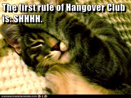 The first rule of Hangover Club - Lolcats - lol | cat memes | funny ...