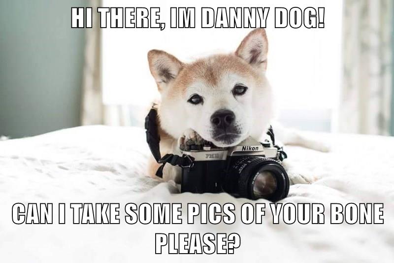 HI THERE - I Has A Hotdog - Dog Pictures - Funny pictures of dogs - Dog ...