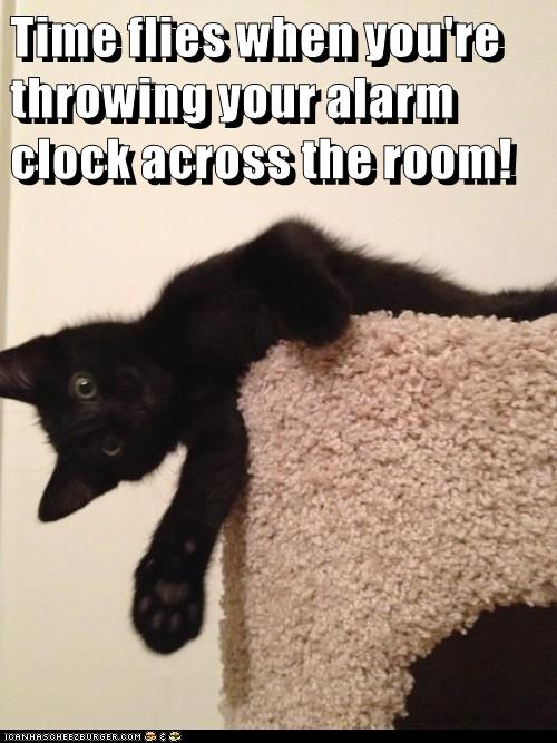 Time flies when... - Lolcats - lol | cat memes | funny cats | funny cat ...