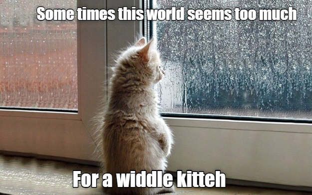 I is so lost without my mommy and widdle sistahs - Lolcats - lol | cat ...