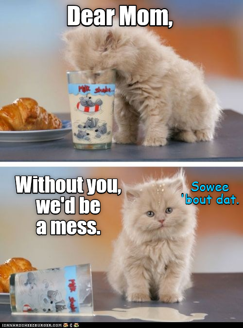 Thank you Mom - Lolcats - lol | cat memes | funny cats | funny cat ...
