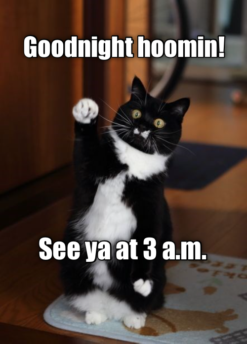 Same time. Same place. - I Can Has Cheezburger?