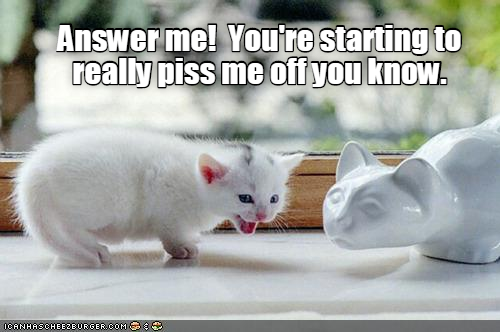 Answer me! - Lolcats - lol | cat memes | funny cats | funny cat ...