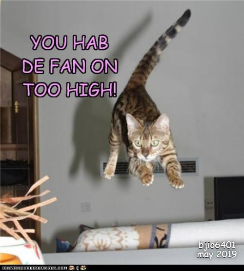TURN IT OFF! TURN IT OFF! - Lolcats - lol | cat memes | funny cats ...