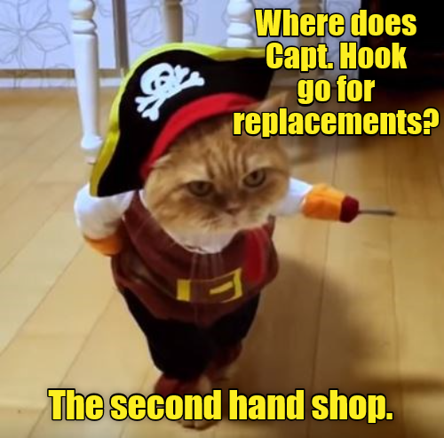 I hear they're very handy. - Lolcats - lol | cat memes | funny cats ...