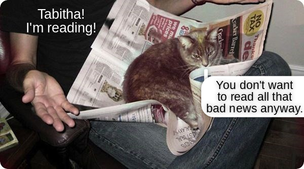 The Good Censor - Lolcats - lol | cat memes | funny cats | funny cat ...