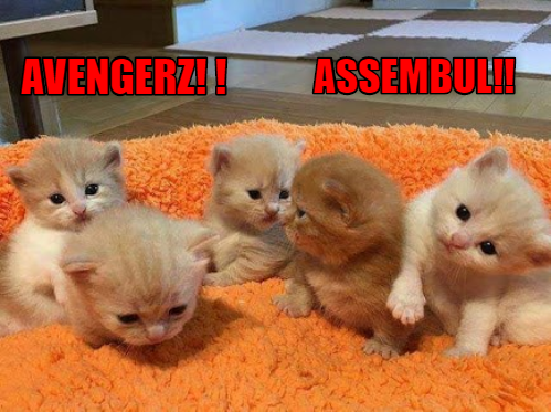 Begin-game - Lolcats - lol | cat memes | funny cats | funny cat ...