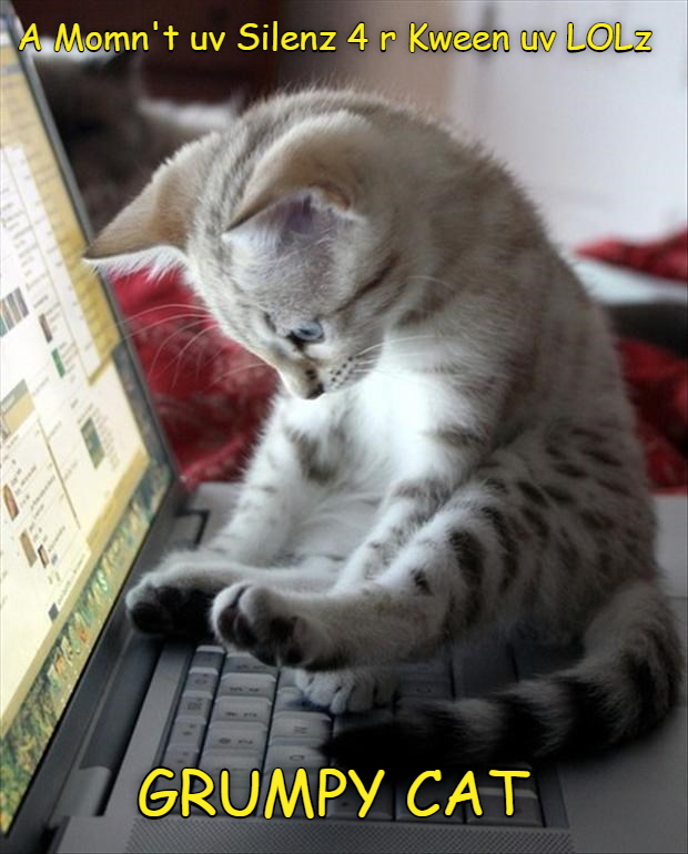 A Moment of Silence - Lolcats - lol | cat memes | funny cats | funny ...