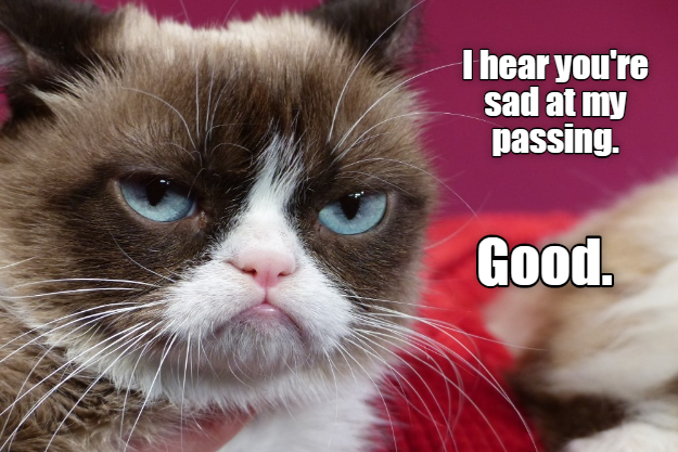 Good - Lolcats - lol | cat memes | funny cats | funny cat pictures with ...