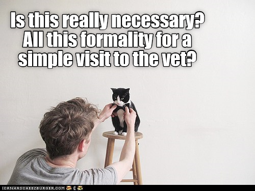 Why so formal? - Lolcats - lol | cat memes | funny cats | funny cat ...