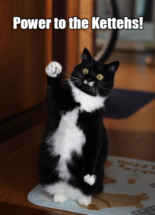 Power to the kettehs! - Lolcats - lol | cat memes | funny cats | funny ...
