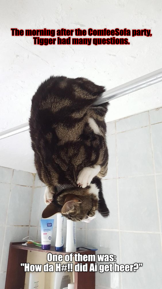 Some Mysteries Never Get Solved. - Lolcats - lol | cat memes | funny ...