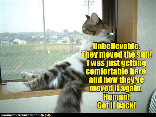 They moved the sun! - Lolcats - lol | cat memes | funny cats | funny ...
