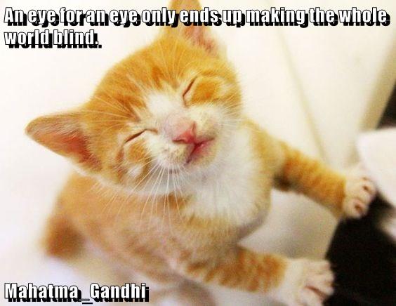 An eye for an eye - Lolcats - lol | cat memes | funny cats | funny cat ...