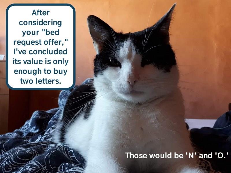 Just two letters - Lolcats - lol | cat memes | funny cats | funny cat ...