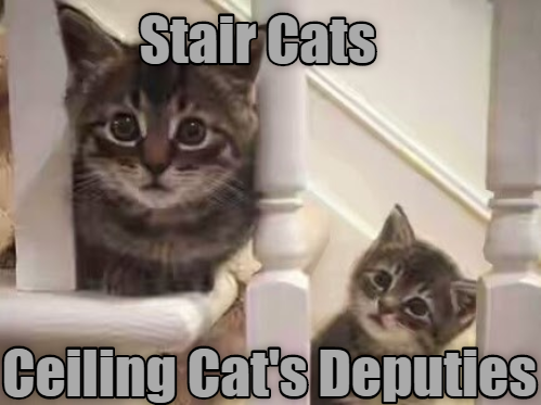 Staring at You when Ceiling Cat is Off Duty - Lolcats - lol | cat memes ...