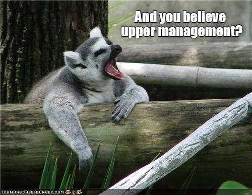 Hahaha - Animal Comedy - Animal Comedy, funny animals, animal gifs