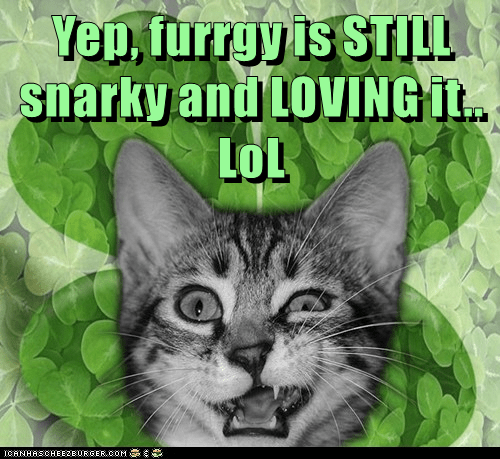 STILL snarky - Lolcats - lol | cat memes | funny cats | funny cat ...