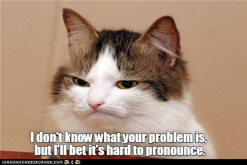 Problems - Lolcats - lol | cat memes | funny cats | funny cat pictures ...
