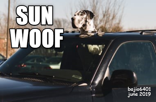 WELL, WHAT WOULD YOU CALL IT? - I Has A Hotdog - Dog Pictures - Funny ...