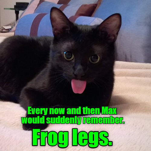 Frog legs - Lolcats - lol | cat memes | funny cats | funny cat pictures ...