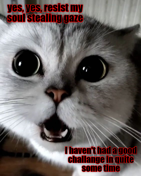 It's become too easy - Lolcats - lol | cat memes | funny cats | funny ...