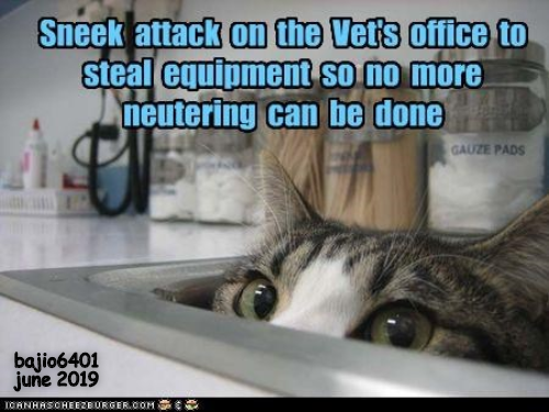THE PLAN IS WORKING SO FAR - Lolcats - lol | cat memes | funny cats ...