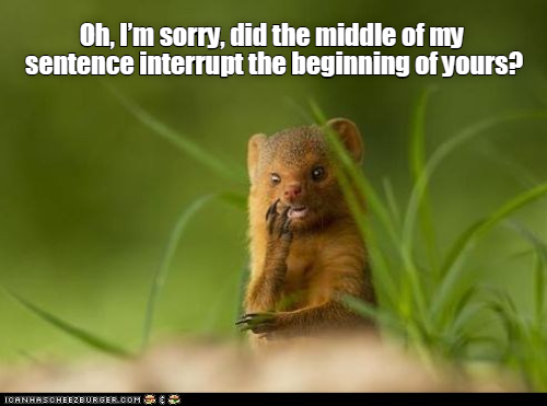 Sorry! So rude! - Animal Comedy - Animal Comedy, funny animals, animal gifs