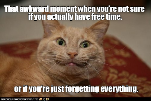 That awkward moment - Lolcats - lol | cat memes | funny cats | funny ...