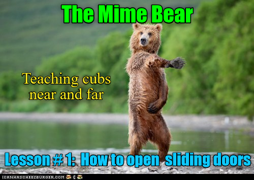 The Mime Bear - Animal Comedy - Animal Comedy, funny animals, animal gifs