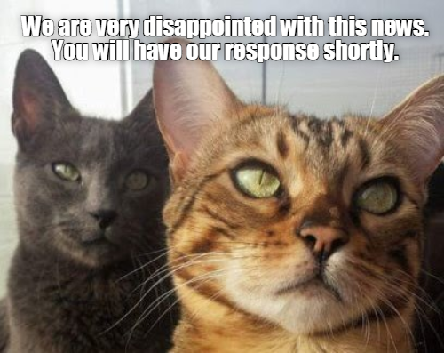 Lolcats - disappointed - LOL at Funny Cat Memes - Funny cat pictures ...