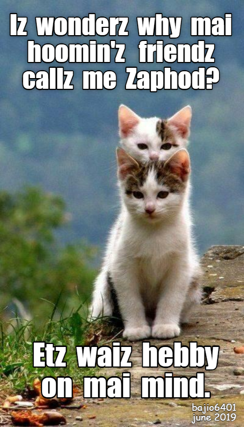 YOU MUST REMIND THEM OF SOMEONE - Lolcats - lol | cat memes | funny ...