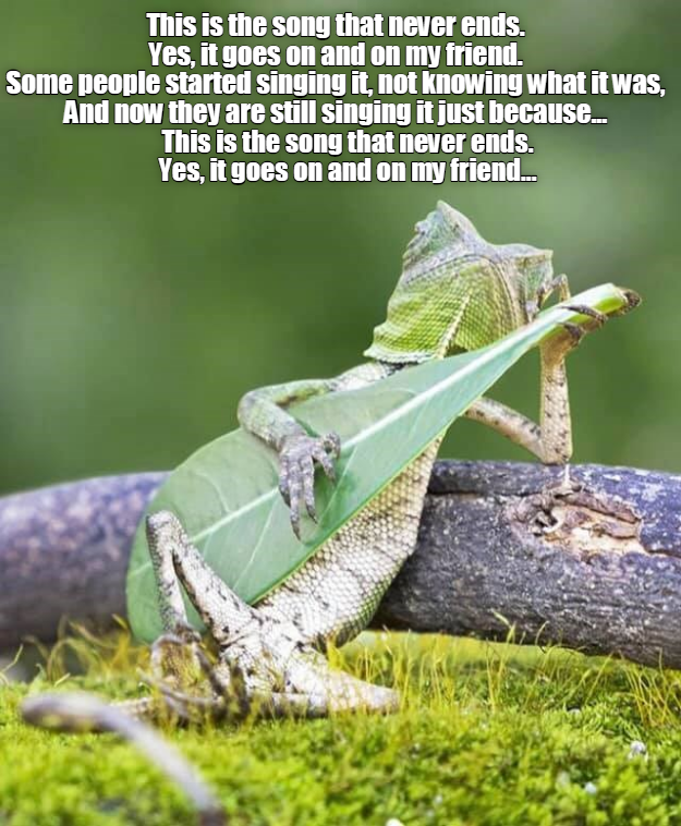 Ear Lizard??? - Animal Comedy - Animal Comedy, funny animals, animal gifs