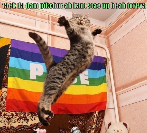 Hurry, up! - Lolcats - lol | cat memes | funny cats | funny cat ...