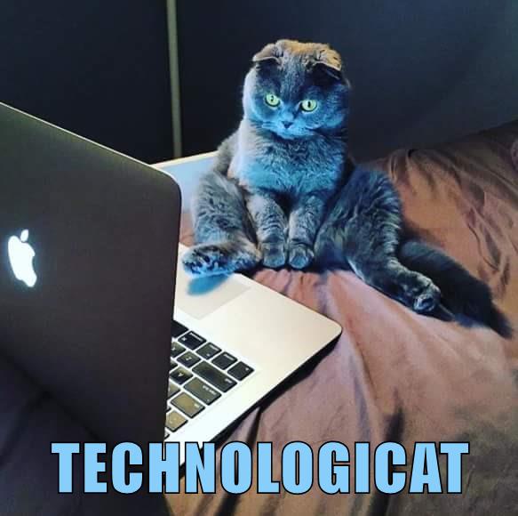 TECHNOLOGICAT - Lolcats - lol | cat memes | funny cats | funny cat ...