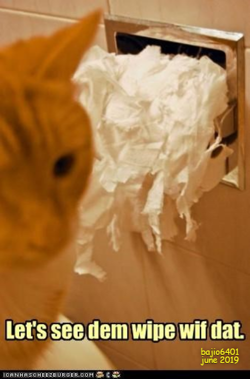 MY WORK HERE IS DONE - Lolcats - lol | cat memes | funny cats | funny ...
