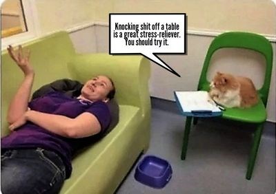 "It works for me" - Lolcats - lol | cat memes | funny cats | funny cat ...