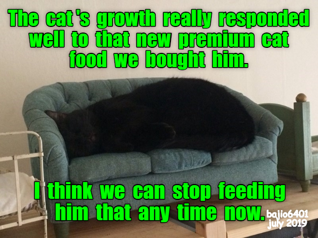 WE'RE GONNA NEED A BIGGER COUCH, MARGE - Lolcats - lol | cat memes ...