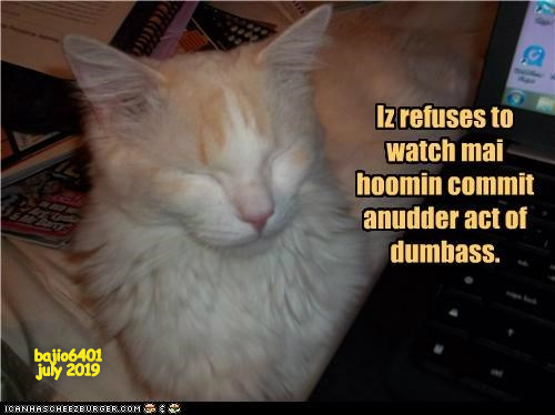 IT MAKES MY EYES AND BRAIN HURT - Lolcats - lol | cat memes | funny ...