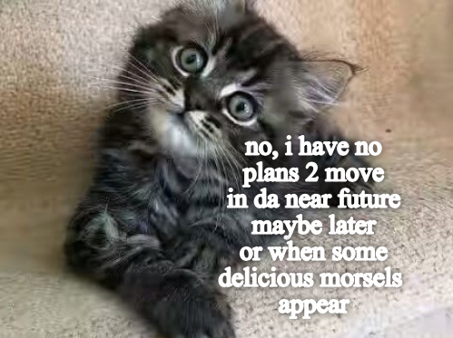 Relocation Plans Pending - Lolcats - lol | cat memes | funny cats ...