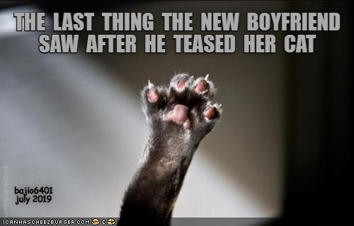 HE FAILED THE CAT TEST - Lolcats - lol | cat memes | funny cats | funny ...