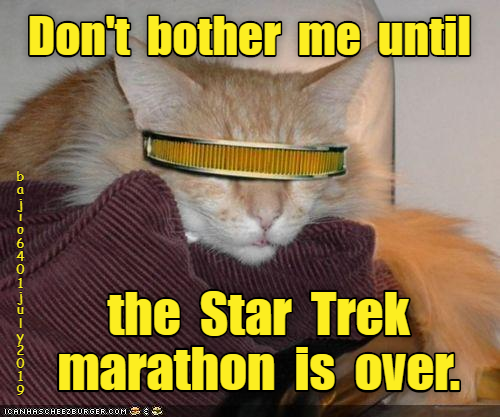 BEST WAY TO SPEND THE WEEKEND - Lolcats - lol | cat memes | funny cats ...