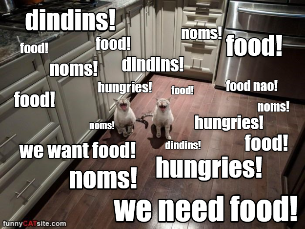 The Joys of Being a Cat Parent - Lolcats - lol | cat memes | funny cats ...