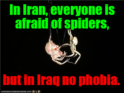 Fear of puns: Paronomasiaphobia - Animal Comedy - Animal Comedy, funny ...