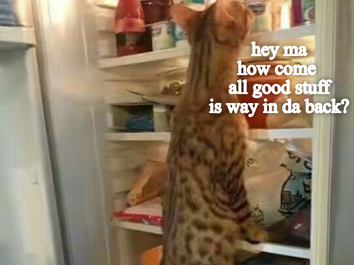 Yeh Ma, HOW COME? - Lolcats - lol | cat memes | funny cats | funny cat ...